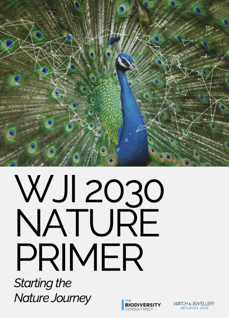 Resources - Watch & Jewelry Initiative 2030